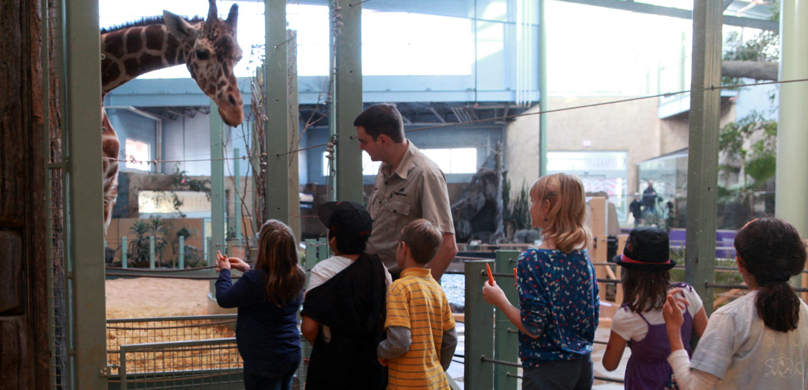 Off-Site Activities - Deer Run School